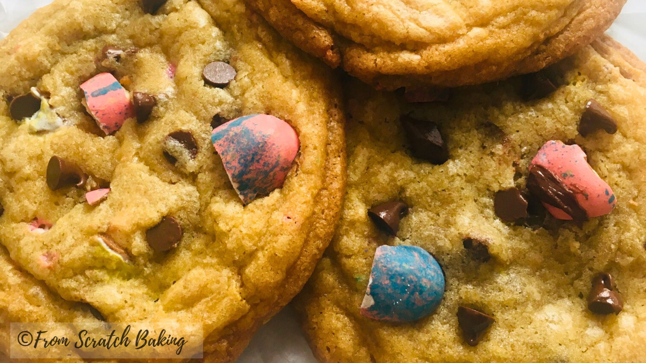 Robin Egg Chocolate Chip Cookies | From Scratch Baking